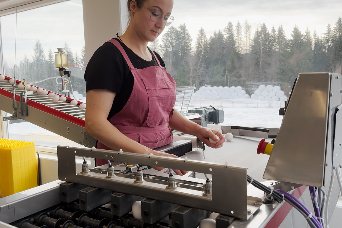 Eggproduksjon og optimisme på Brekka gård i Stjørdal - Fjøssystemer